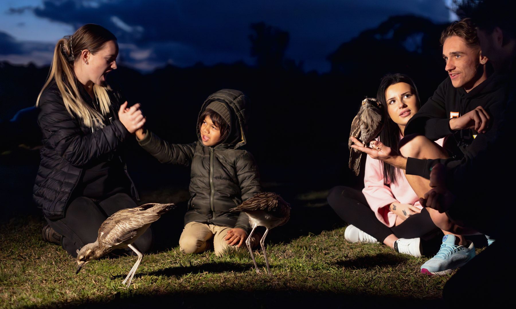 FF-WEBSITE-HERO-OWL_GROUP – Feathered Friends Animal Productions